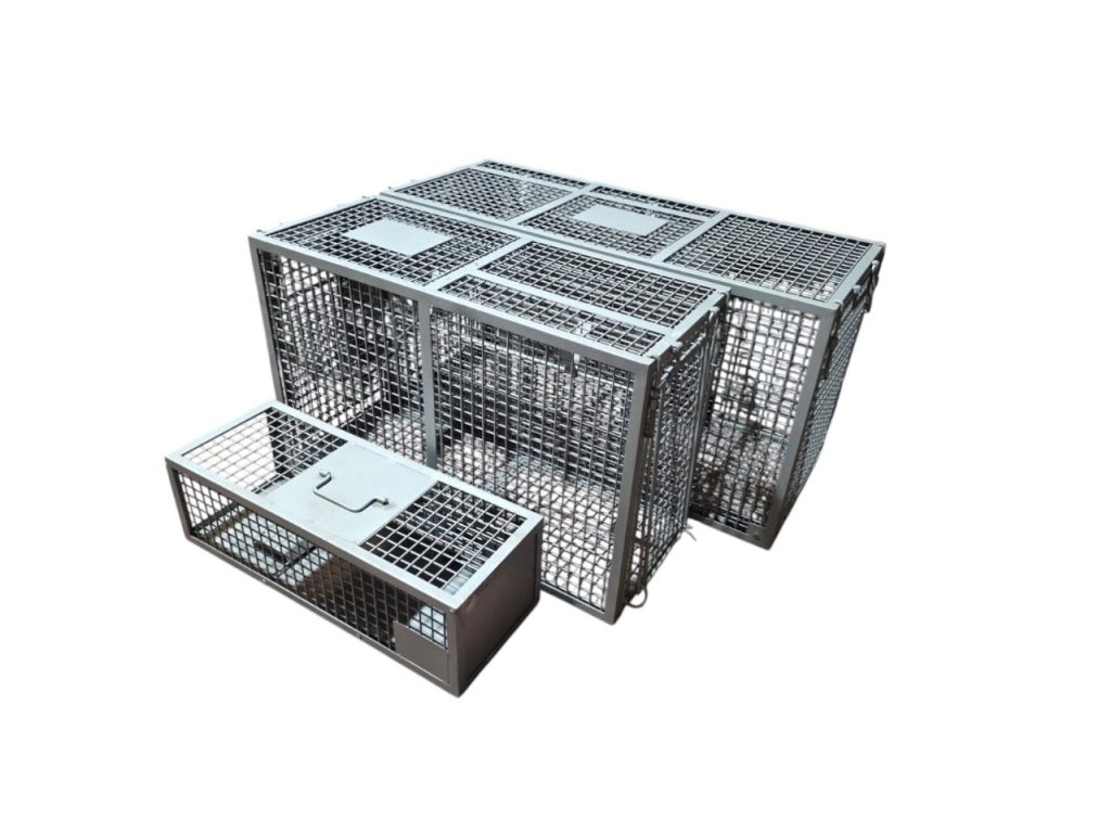 Animal Cages and Traps – Profen Fabrication
